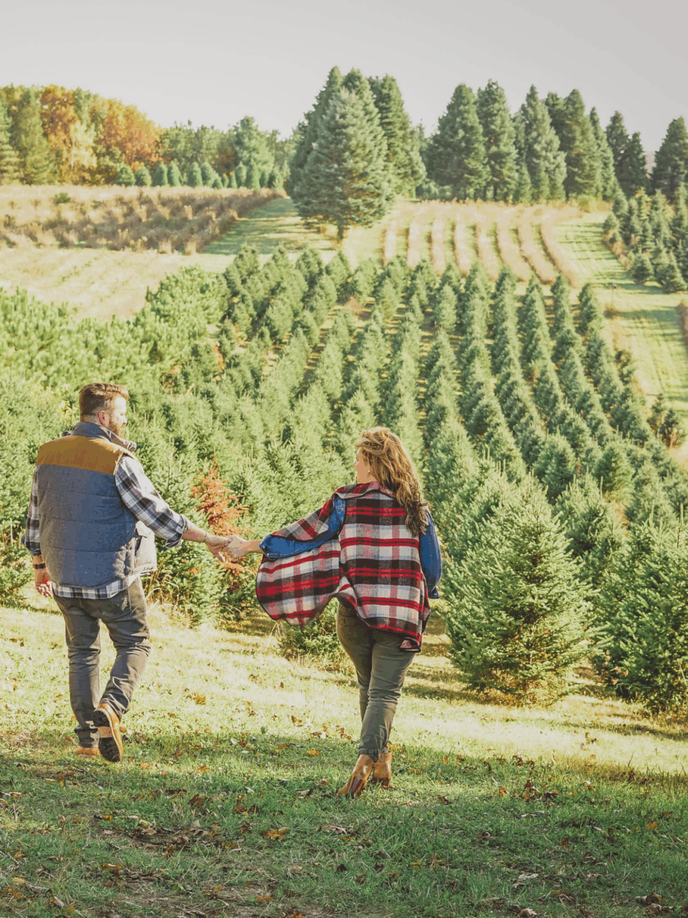 Home - Wisconsin Christmas Tree Producers Association